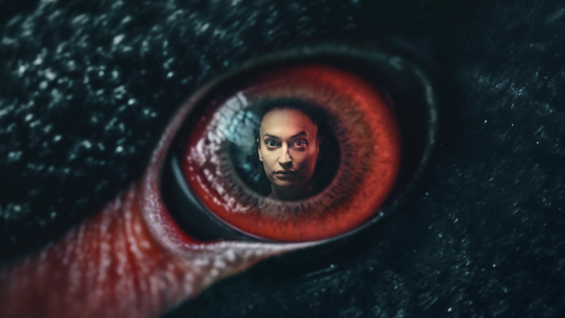 Etter ville avsløringer i 'Den sorte svane': Nå får det ytterligere ...