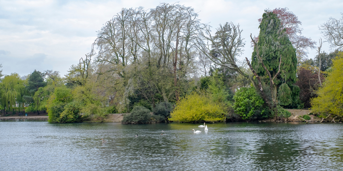 Mann ville ta en svømmetur: Mistet den ene armen og kunne ikke finne ...